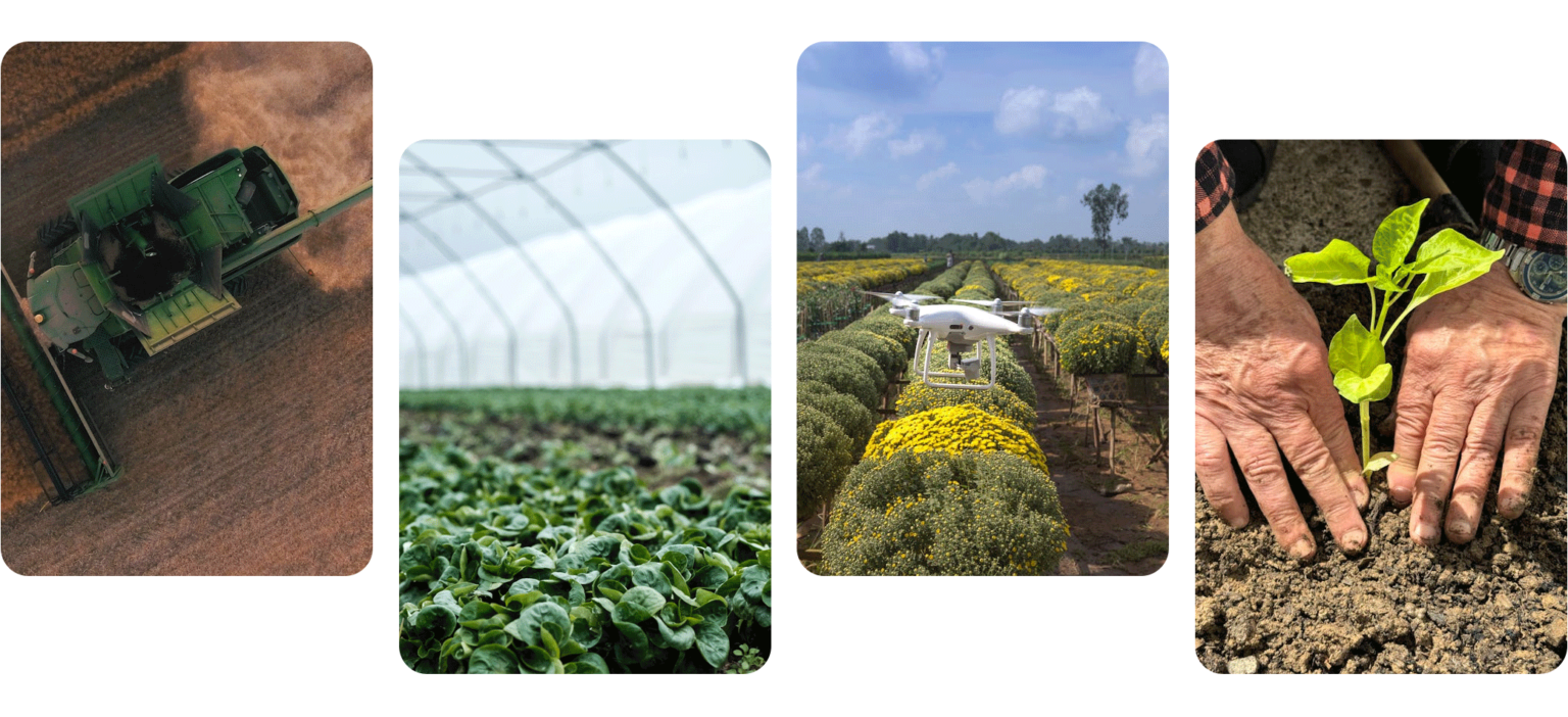 About Us | Agronomics